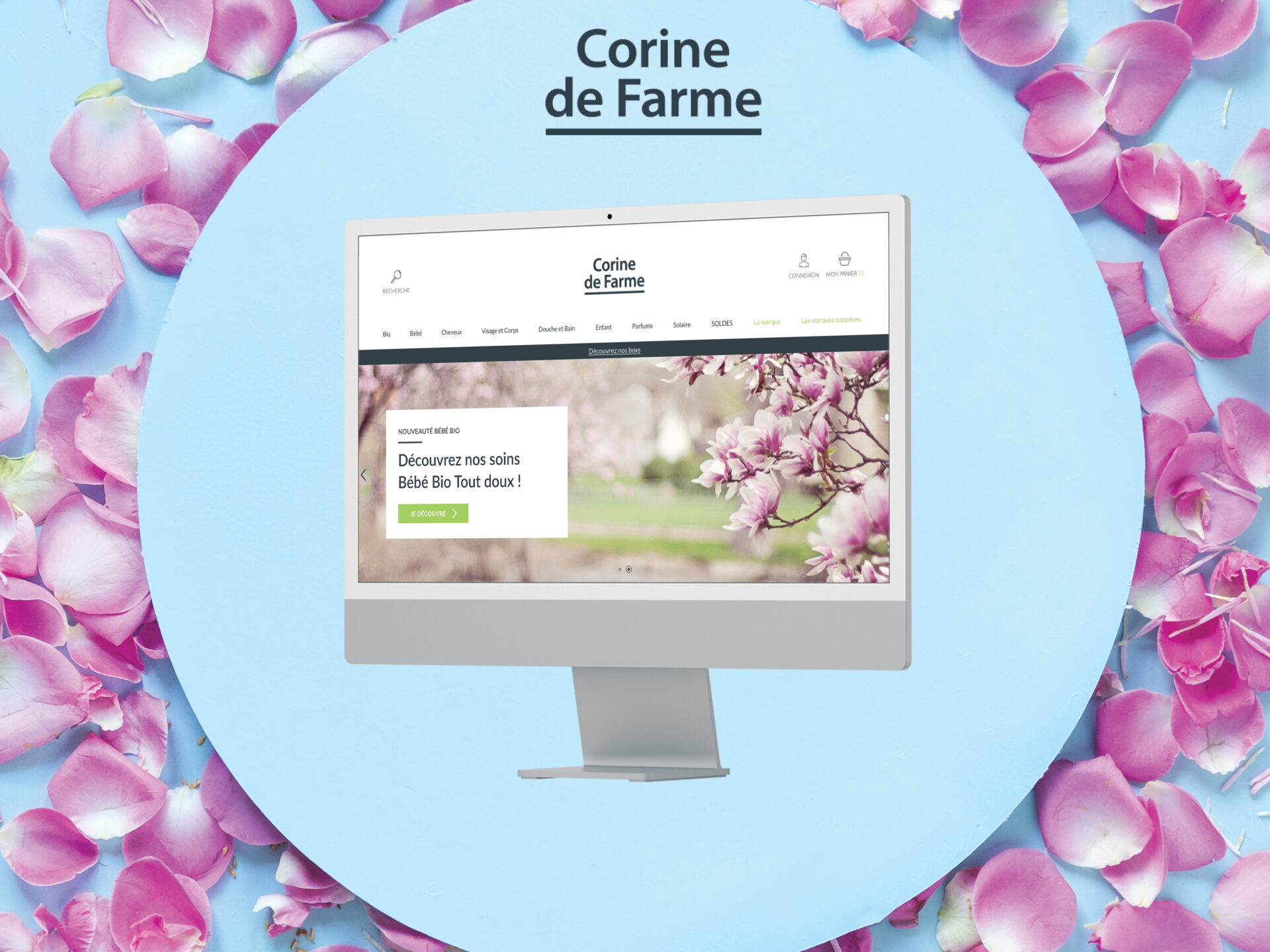 Corine de Farme - Développement WordPress